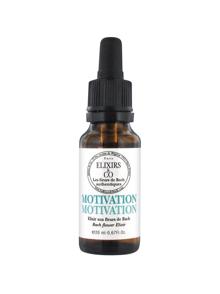 Elixirs & Co Motivation 20ml | Buy at Low Price Here