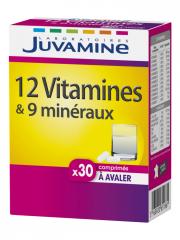 Juvamine C 11 vitamines et 7 minéraux - FIZZ