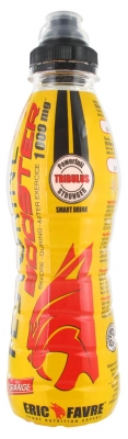 Eric Favre Testorin Booster 500 ml - Geschmack: Orange