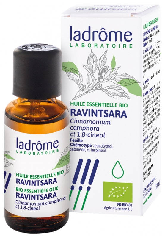 Ladrôme Huile Essentielle Ravintsara (Cinnamomum camphora ct 1,8-cineol ...