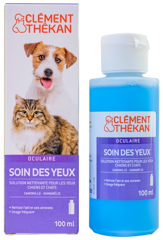 Nettoyer les yeux de son chat ou chien | Cocooncenter®